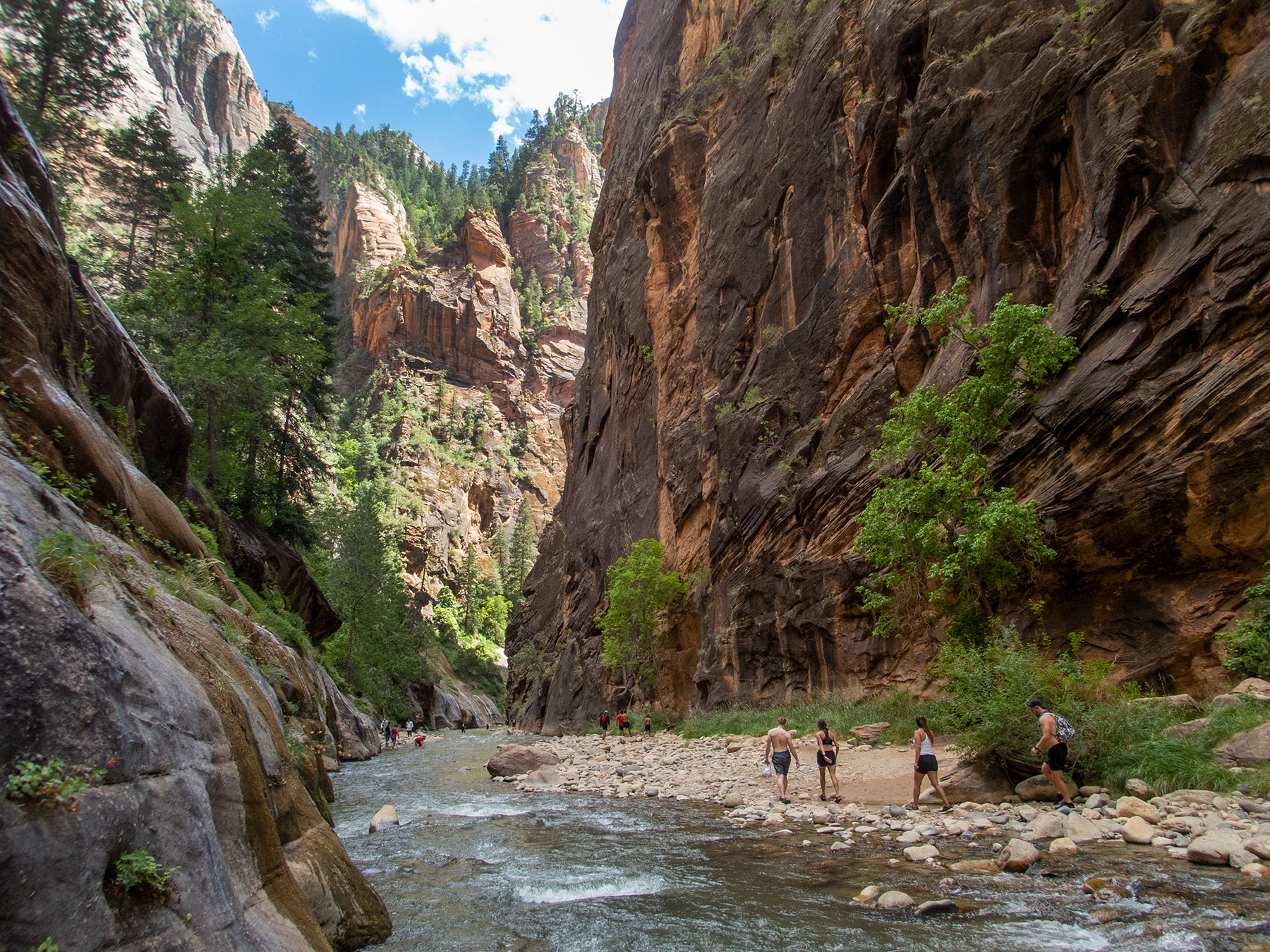 Hike The Narrows In Zion National Park Carltonaut S Travel Tips
