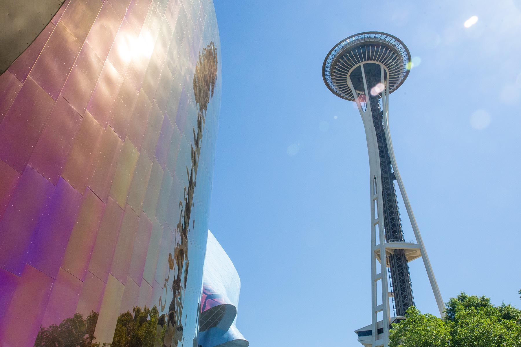 Experience Seattle's Iconic Space Needle - Carltonaut's Travel Tips